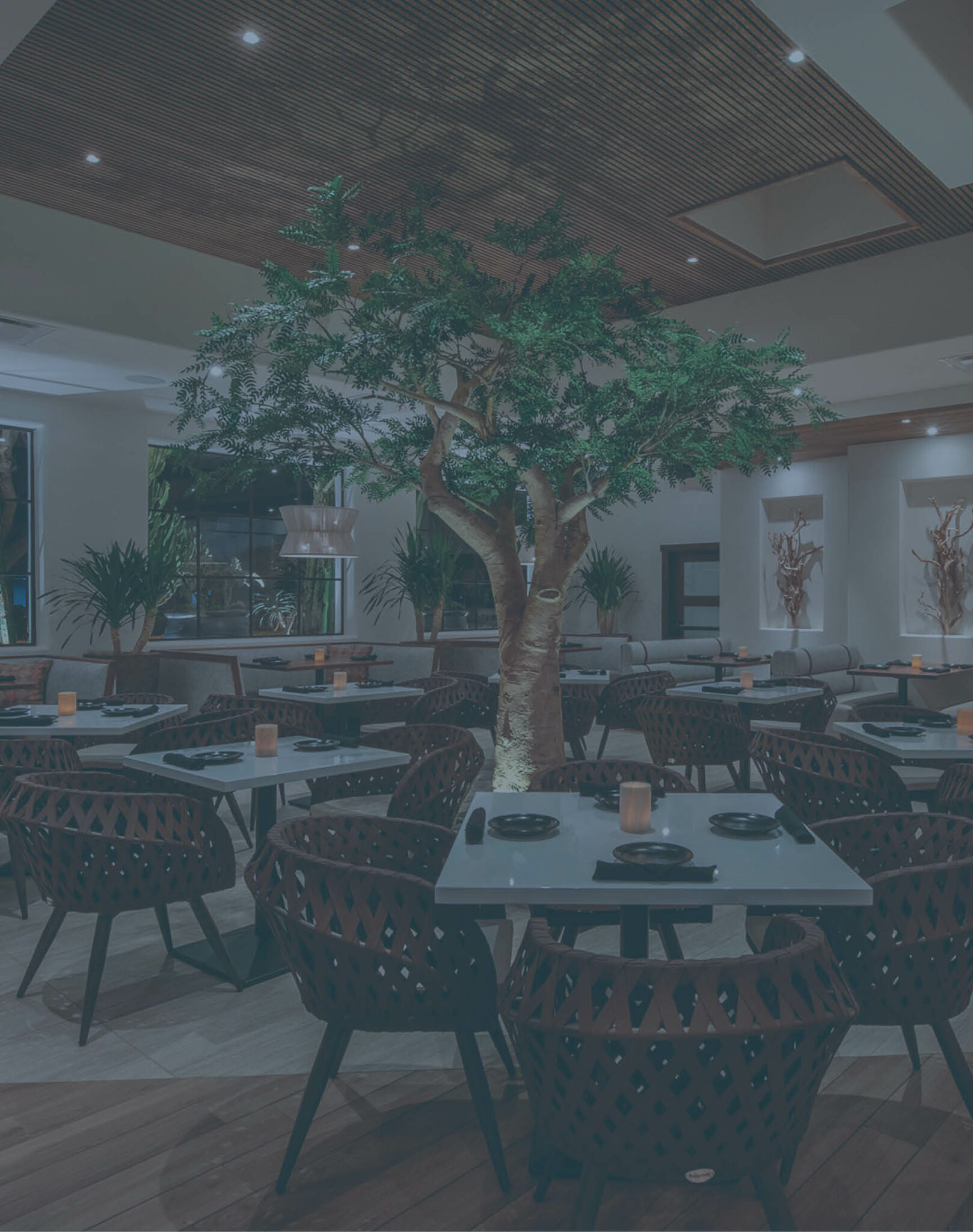 The Largest SOL Opens in Irvine - Xperience Restaurant Group